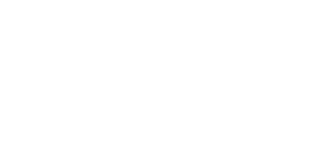 Company Overview | Foundries.io